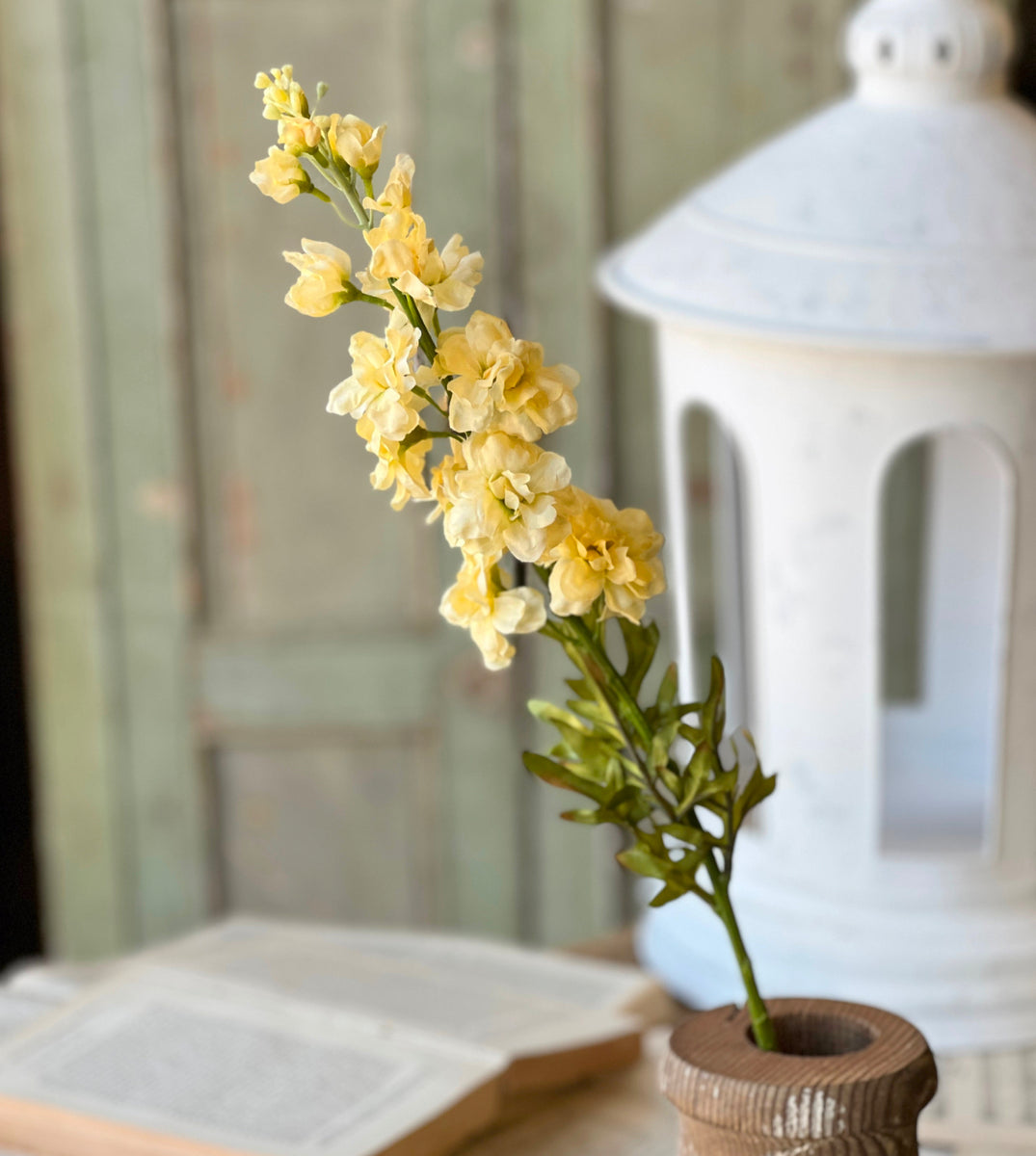 Larkspur yellow stem – Rustic Rehabs