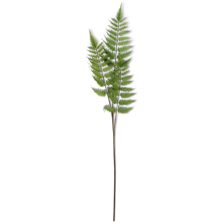 3 branch Fern stem – Rustic Rehabs